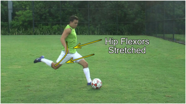 Kicking Power and Hip Flexors | AthleticQuickness