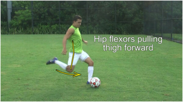 Kicking Power and Hip Flexors | AthleticQuickness