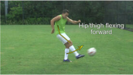 » Kicking Power and Hip Flexors
