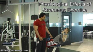 Physiological Effects of Strenuous Exercise - AthleticQuickness