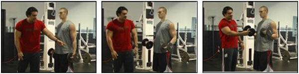 Muscle Tissues and Contractions | AthleticQuickness