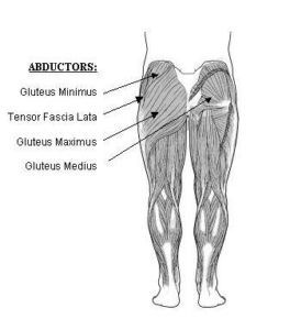 Increase Lateral Mobility With The Hip Abductors | AthleticQuickness